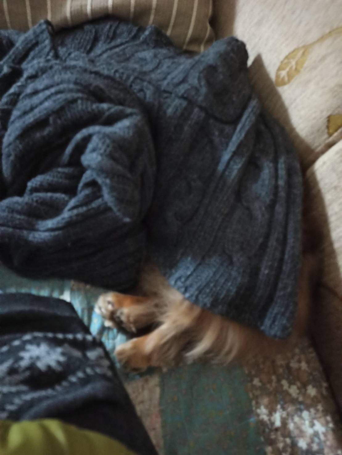 ffffffffffffffffffffffff